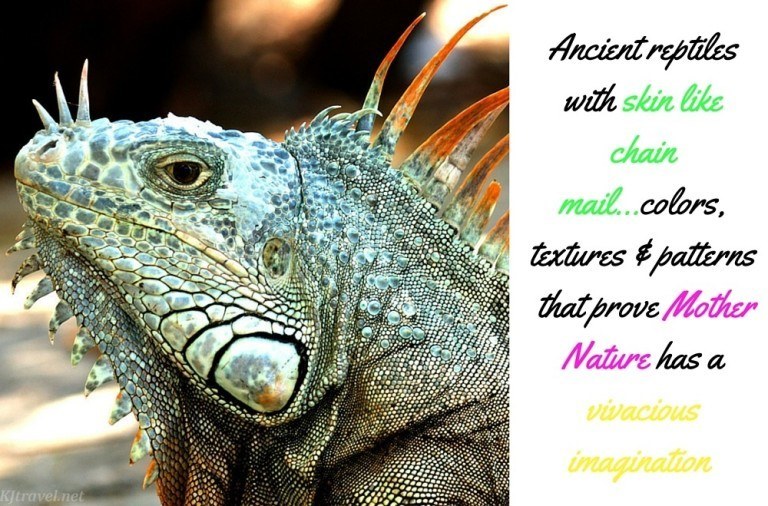 11 Photos That Prove Mexico is One of the Most Colorful Countries ...