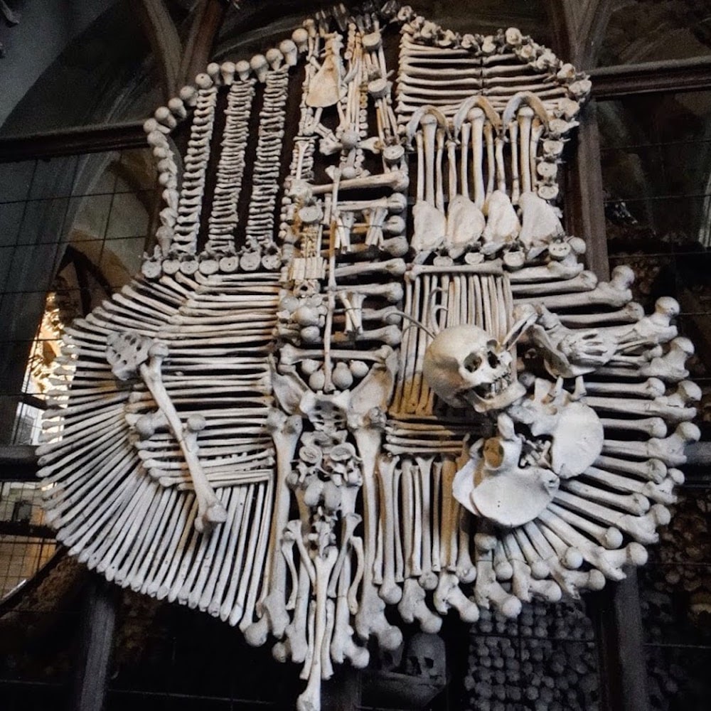 Olaf I Dont Have A Skull Or Bones