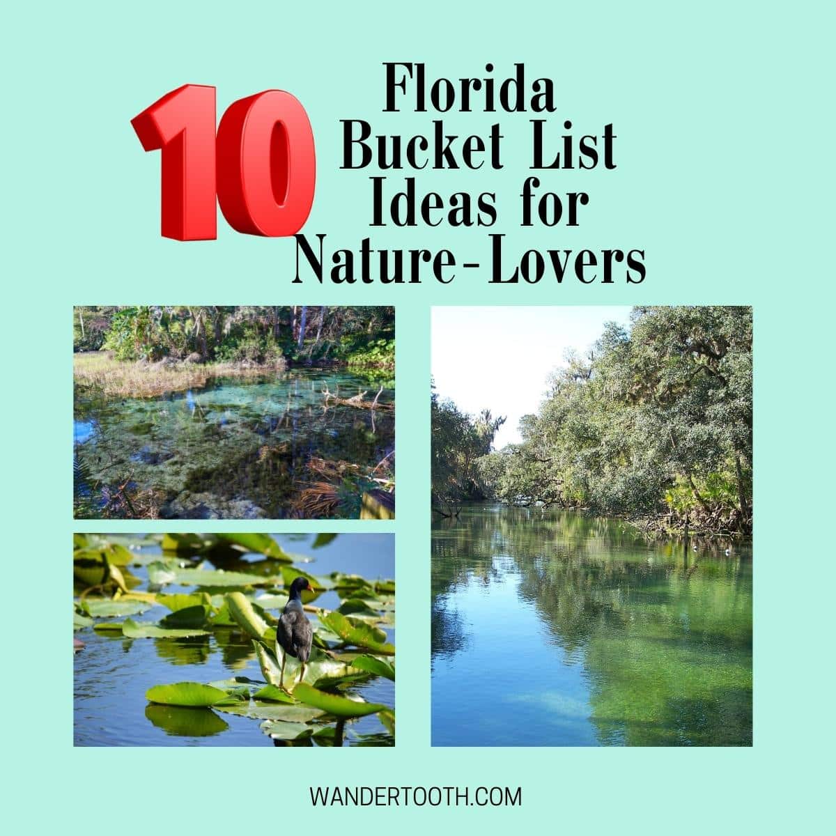 10 Florida Bucket List Ideas for Nature-Lovers - Wandertooth Travel