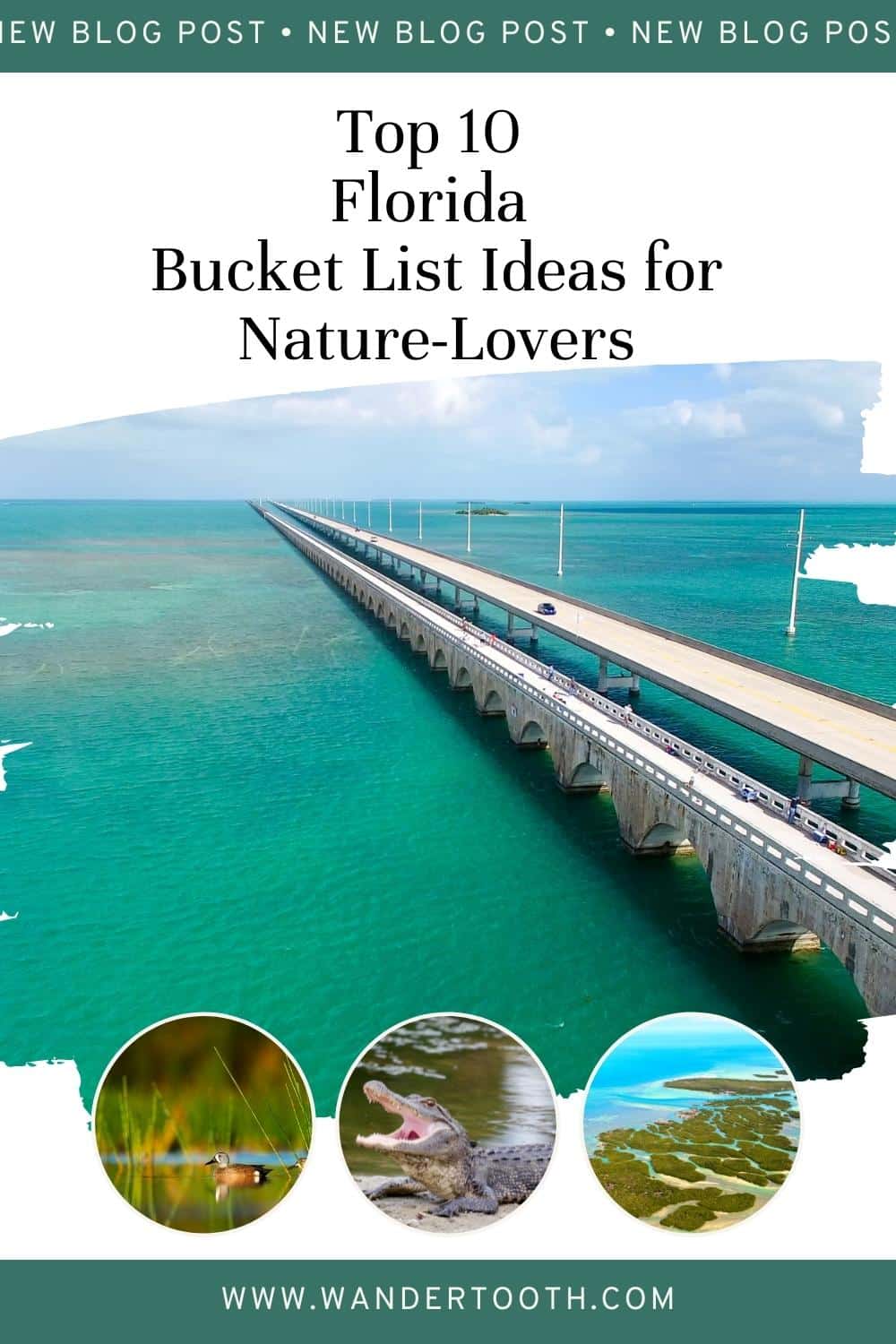 10 Florida Bucket List Ideas for Nature-Lovers - Wandertooth Travel