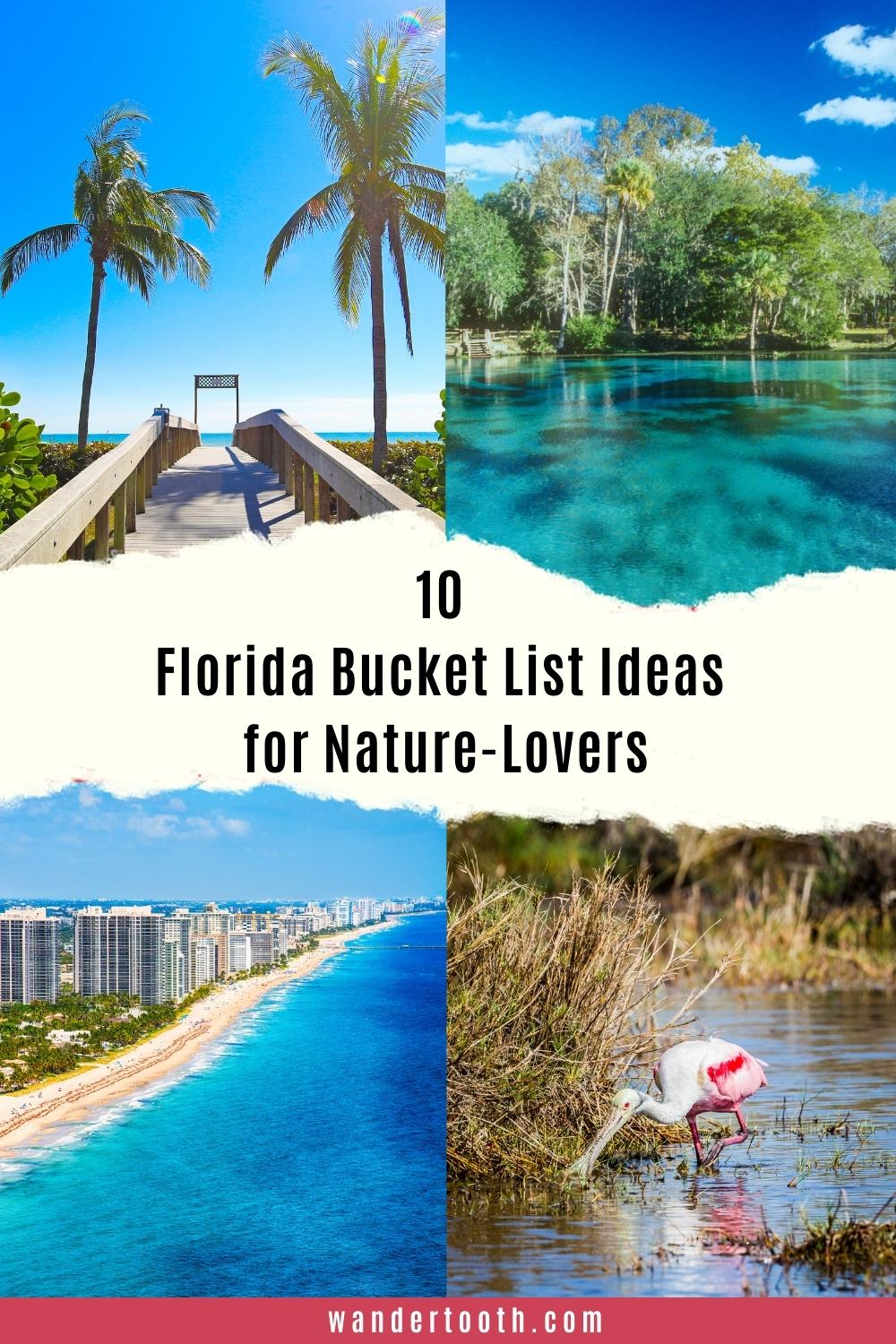 10 Florida Bucket List Ideas for Nature-Lovers - Wandertooth Travel