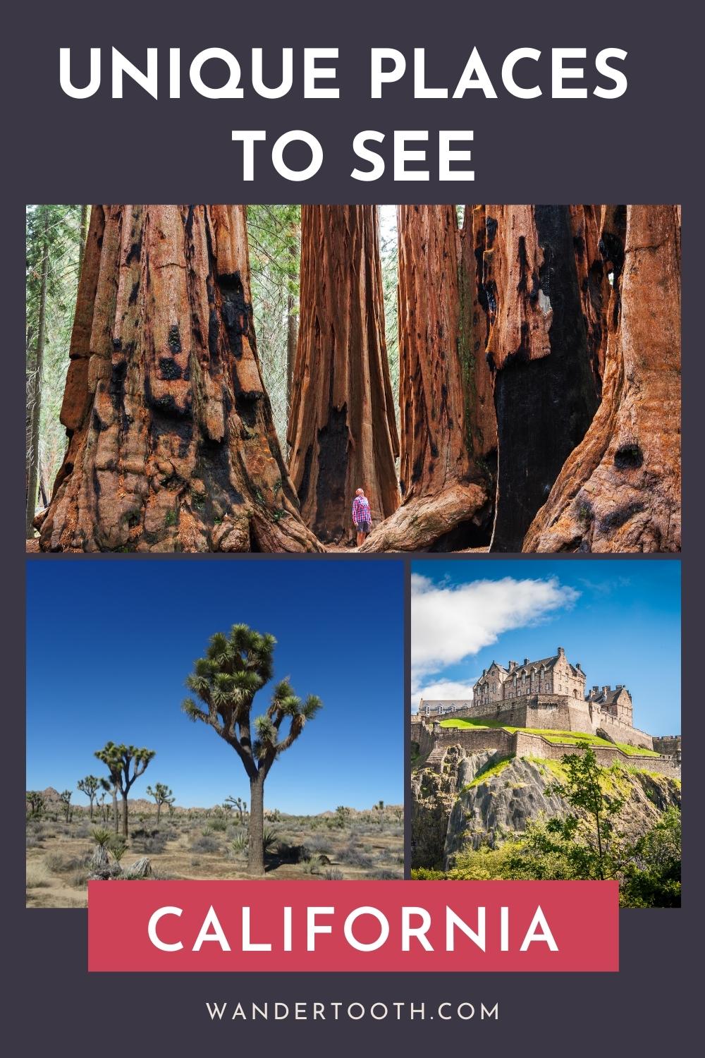 13 Unique Places In California You Need To See To Believe - Wandertooth ...