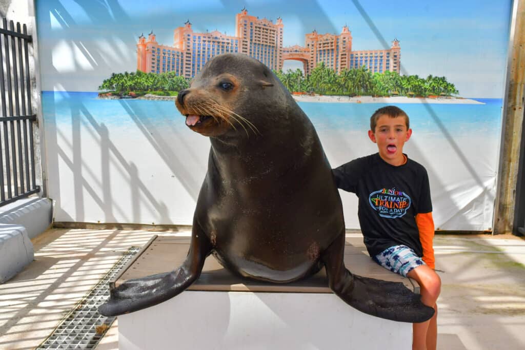 ULTIMATE Atlantis Bahamas Review - the good and the bad!