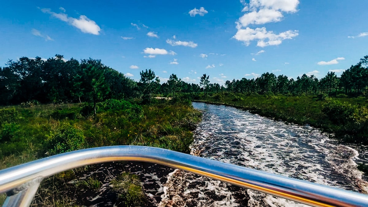 Best Activities at Westgate River Ranch (and the ones to skip ...