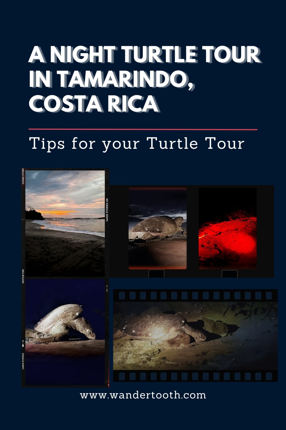 A Night Turtle Tour in Tamarindo, Costa Rica - Was it worth it?