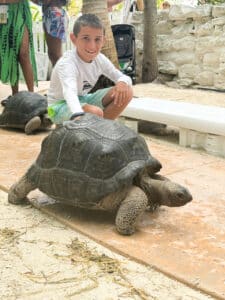ULTIMATE Baha Mar Review - the good and the bad!